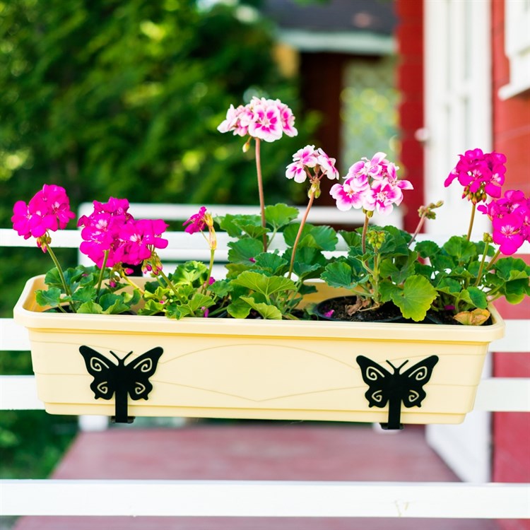 Кронштейн для балконных ящиков Бабочки (2 шт) 203-016 купить за 570 руб. в интернет магазине Хитсад!
