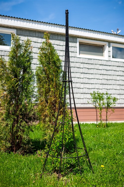 Опора садовая для растений 57-901 h=168см купить за 0 руб. в интернет ...