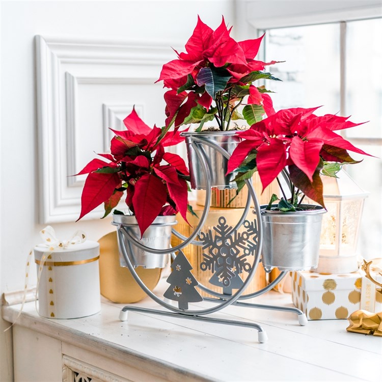 Цветочница для 3 кашпо на подоконник 660-024 металл купить за 840 руб. ЦЕНА Снижена - Зимние ...