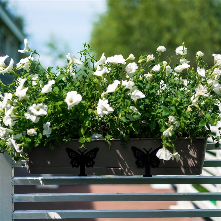 Кронштейн для балконных ящиков Бабочки (2 шт) 203-016 купить за 570 руб. в интернет магазине Хитсад!