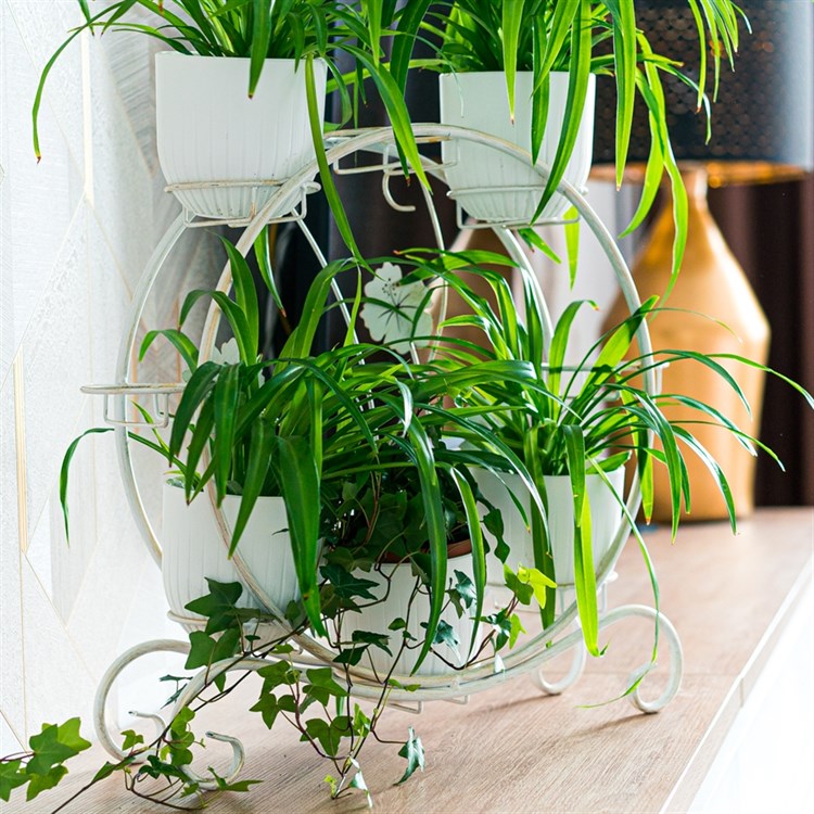 Подставка для цветов на подоконник на 8 кашпо 41-006