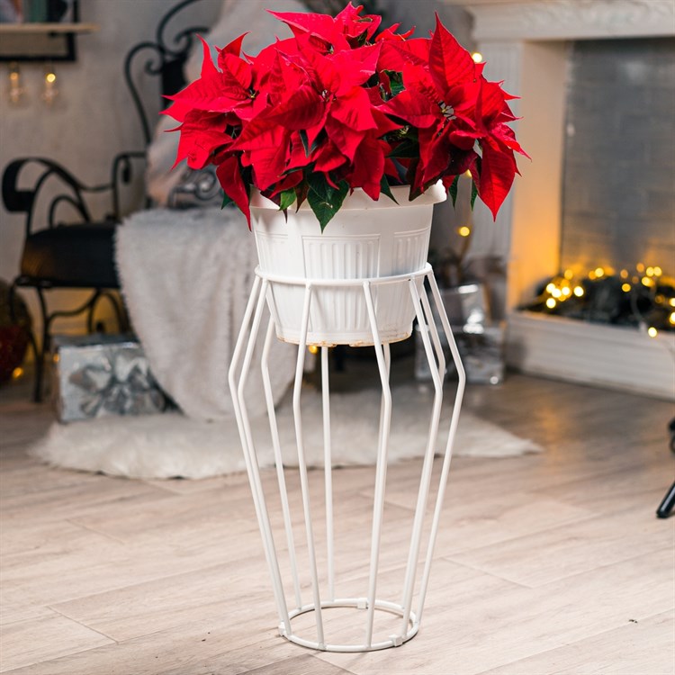 Подставка для цветов лофт 66-402 купить за 1 880 руб. ЦЕНА Снижена - Зимние скидки на Подставки лофт