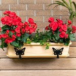 Кронштейн для балконных ящиков Бабочки (2 шт) 203-016 купить за 685 руб. в интернет магазине Хитсад!